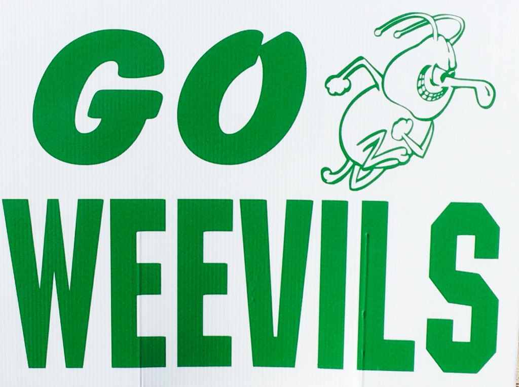 Chamber of Commerce Supporting Billies, Pirates, Weevils | Monticello Live