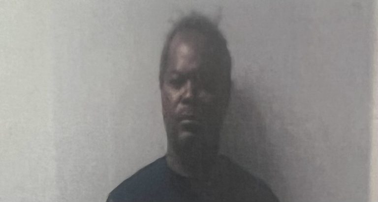 Mugshots | Monticello Live